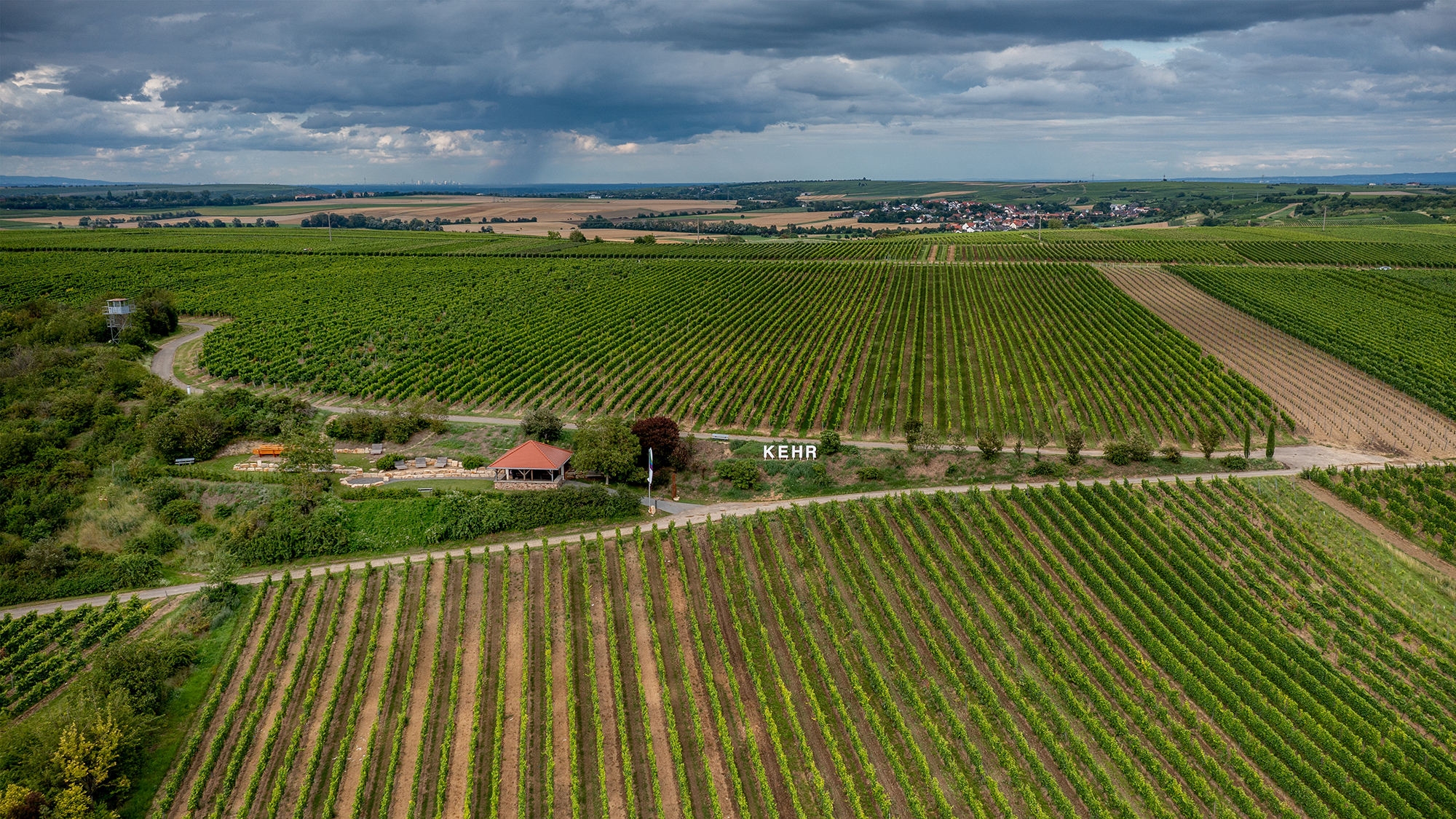 Weinolsheimer Kehr - Ingelheim